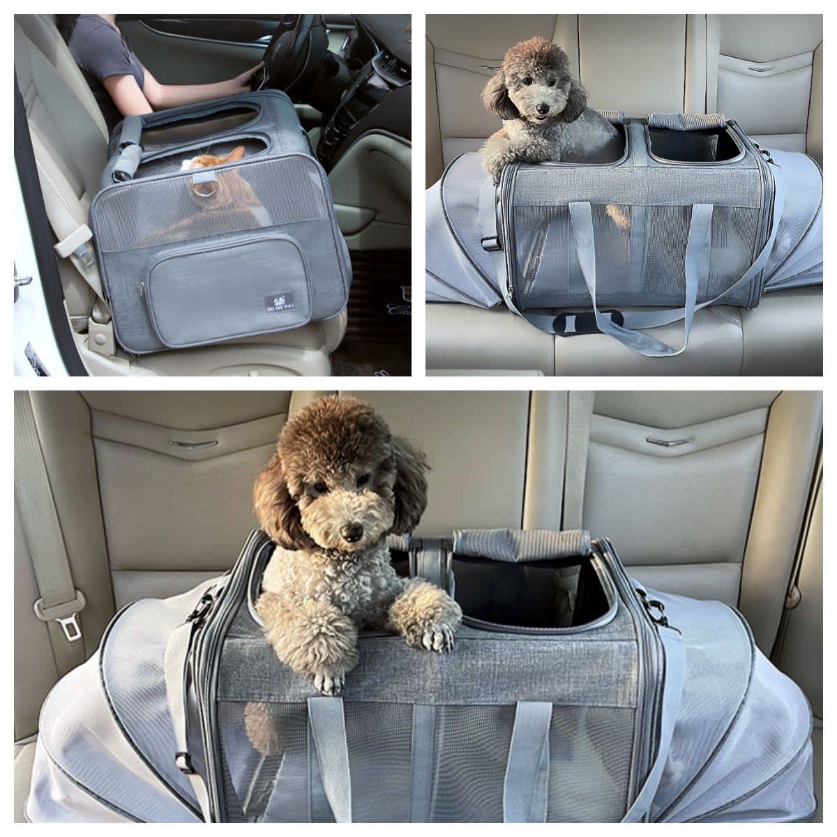 A-PET Double Pet Carrier Expandable Collapsible Lightweight – Open Box ...
